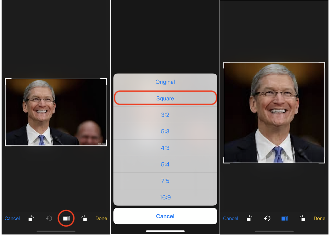 Come creare un meme con iPhone gratuitamente e in pochi touch : SPIDER-MAC